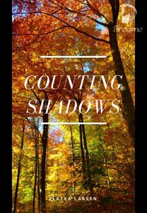 Counting Shadows-Dreame