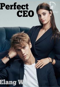 My Perfect CEO-Dreame
