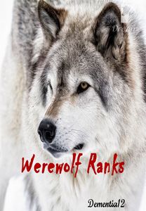 Rankings in Werewolf packs of my books - Werewolf Ranks - Dreame