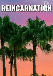 THE REINCARNATION-Dreame