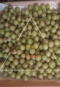 Story of nellikka-Dreame