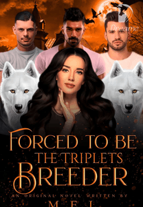 A wolf with no Rank - Forced to be the Triplet's breeder - Dreame