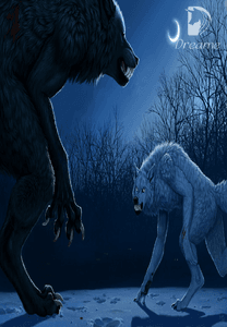 Chapter 18 - My tortured Luna - Dreame